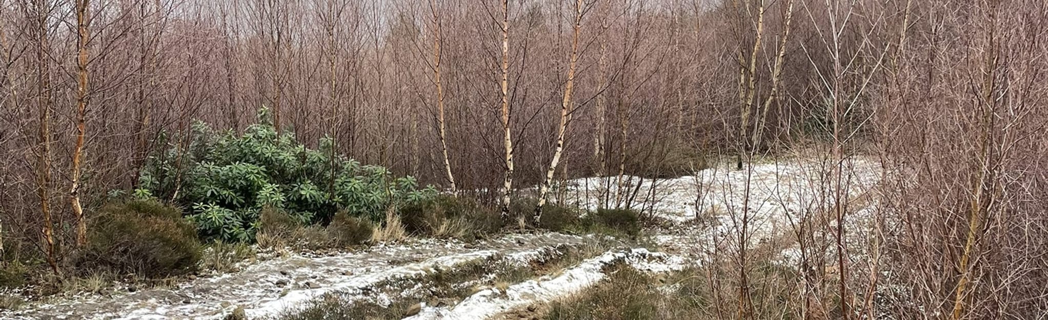 Millbrook - Wild Bank Circular, Greater Manchester, England - 28 ...