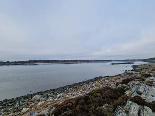 Best Hikes and Trails in Tofta naturreservat | AllTrails