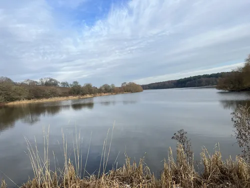 10 Best Hikes and Trails in Calke Park | AllTrails