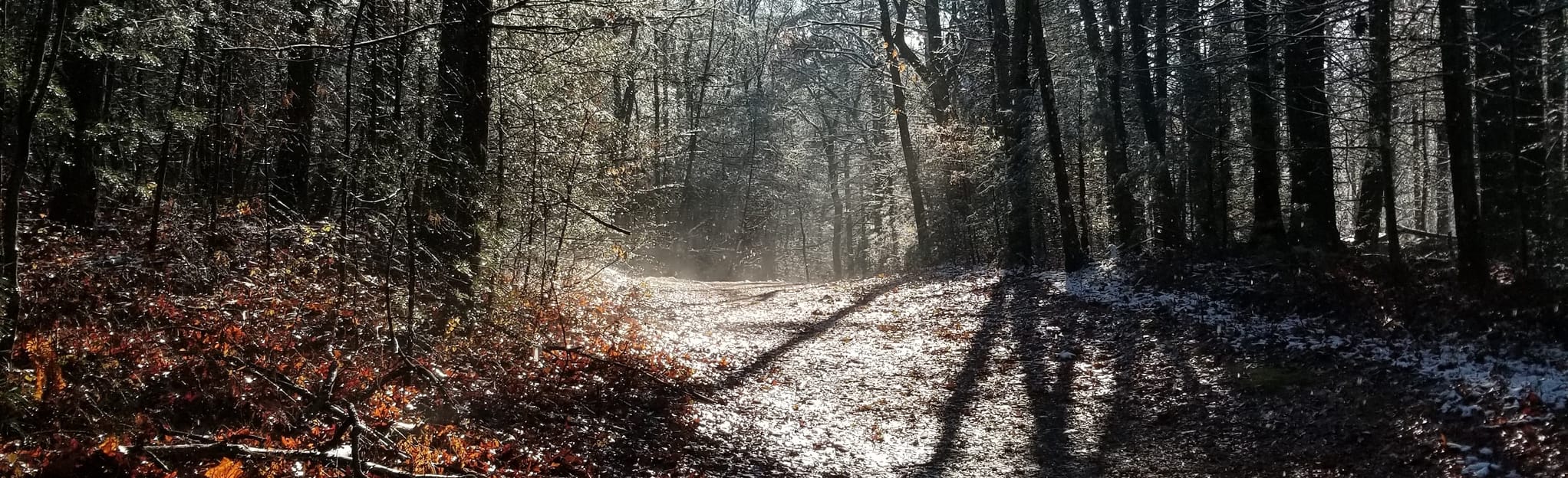 Wolcott, Puddle, Wildcat Notch, Coon Hollow, 5 Corner, and Border Path ...