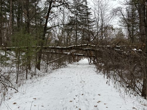 Best Hikes and Trails in Merrick State Park | AllTrails