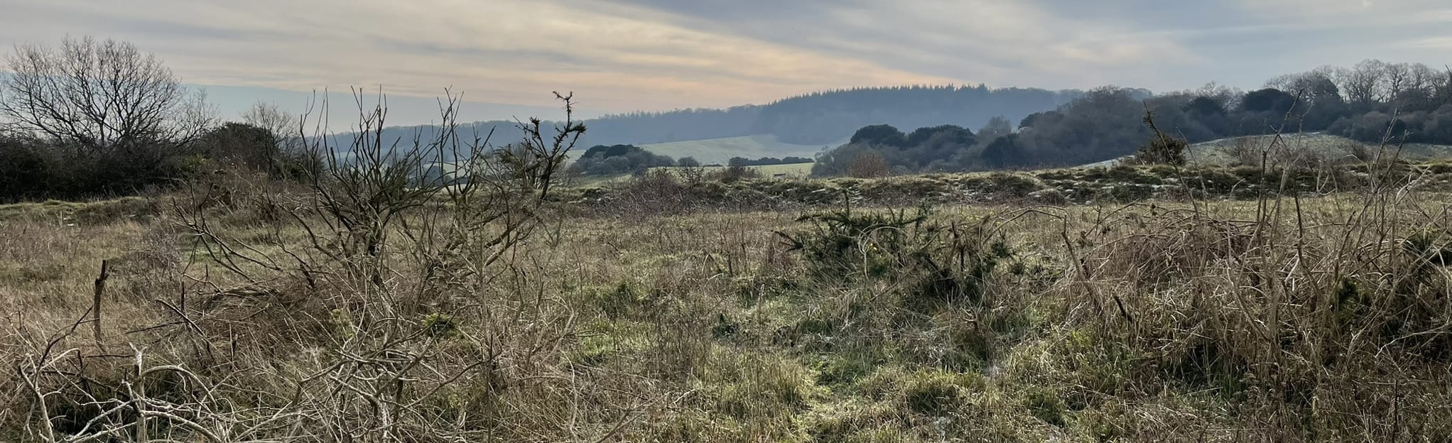 Martin Down National Nature Reserve, Hampshire, England - 36 Reviews ...