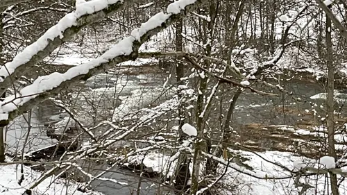 10 Best Trails and Hikes in Kalborn | AllTrails