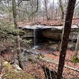 Split Bow Arch Loop, Kentucky - 181 Reviews, Map | AllTrails