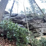 Split Bow Arch Loop, Kentucky - 181 Reviews, Map | AllTrails