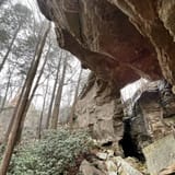 Split Bow Arch Loop, Kentucky - 181 Reviews, Map | AllTrails