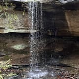Split Bow Arch Loop, Kentucky - 181 Reviews, Map | AllTrails