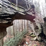 Split Bow Arch Loop, Kentucky - 181 Reviews, Map | AllTrails