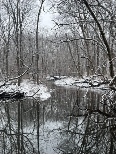 Best Hikes and Trails in Oakdale Nature Preserve | AllTrails