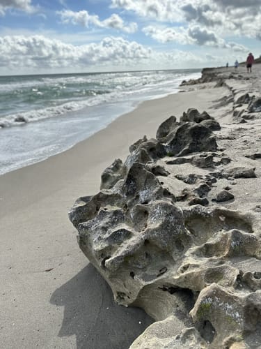 Best Hikes and Trails in Blowing Rocks Nature Preserve | AllTrails