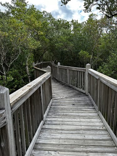 Best Hikes and Trails in Blowing Rocks Nature Preserve | AllTrails