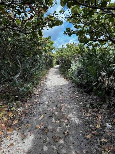 Best Hikes and Trails in Blowing Rocks Nature Preserve | AllTrails