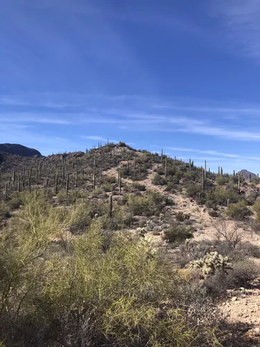 Best Hikes and Trails in Enchanted Hills Park | AllTrails