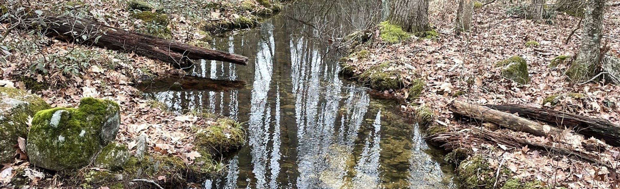 Upper Three Mile River Preserve | Map, Guide - Connecticut | AllTrails