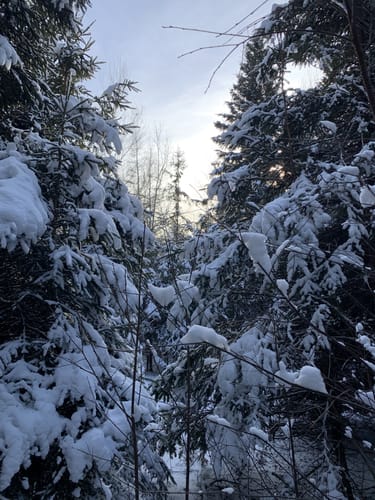 Best Hikes and Trails in Bonshaw Provincial Park | AllTrails