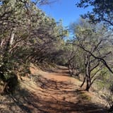 Dragoon Gulch Trail, California - 840 Reviews, Map | AllTrails