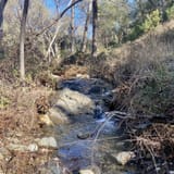 Dragoon Gulch Trail, California - 840 Reviews, Map | AllTrails