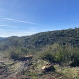 Dragoon Gulch Trail, California - 840 Reviews, Map | AllTrails