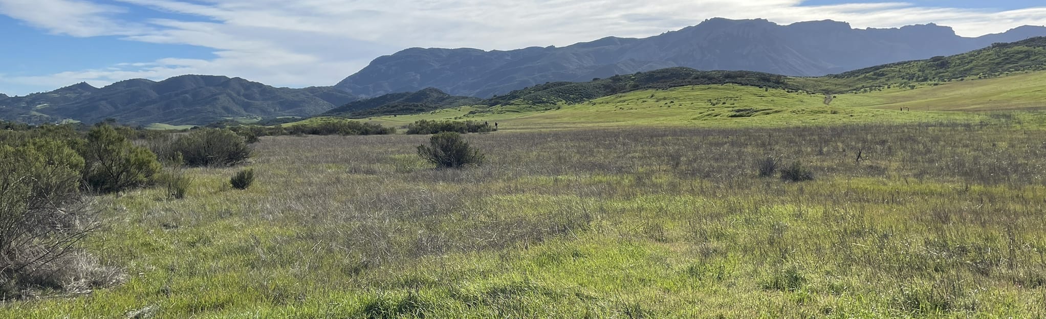 Palomino, Ranch Overlook, Huck Property, and Olympia Farms Trail Loop ...