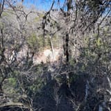 Hamilton Pool Park Trail, Texas - 379 Reviews, Map | AllTrails