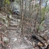 Hamilton Pool Park Trail, Texas - 379 Reviews, Map | AllTrails