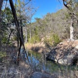 Hamilton Pool Park Trail, Texas - 379 Reviews, Map | AllTrails