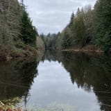 Stimpson Nature Preserve, Washington - 732 Reviews, Map | AllTrails
