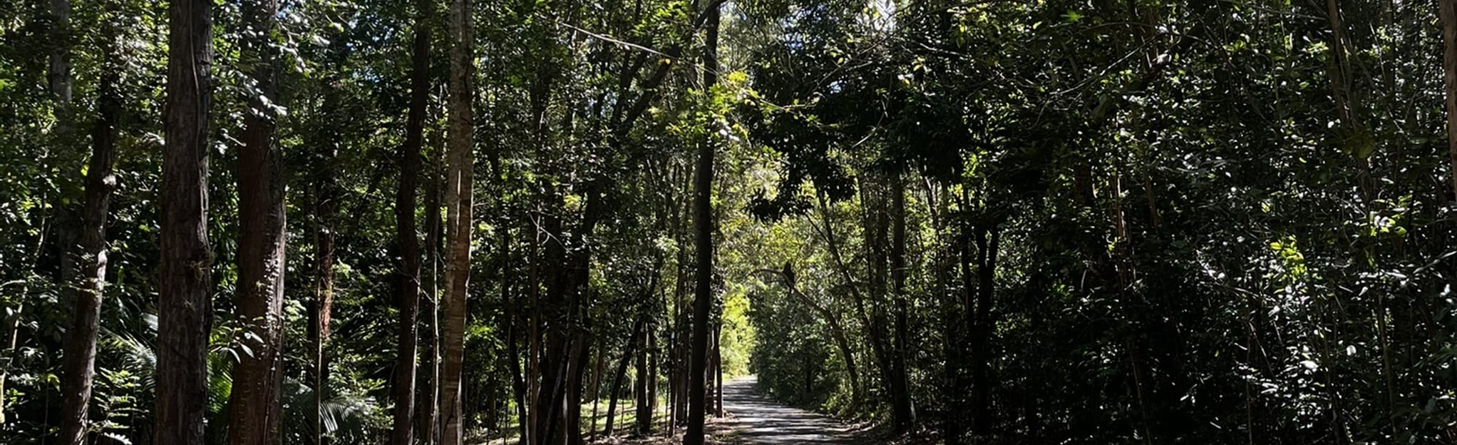 Bosque Susua: 12 Reviews, Map - South Region, Puerto Rico | AllTrails
