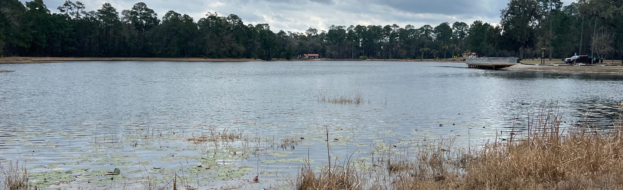 Blythe Island Lakes Loop: 102 Reviews, Map - Georgia | AllTrails