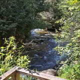 Taggerty River Lookout Loop, Victoria, Australia - 67 Reviews, Map ...