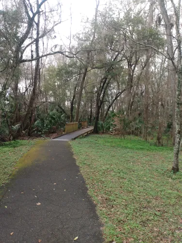 Best Hikes and Trails in Lake Alice Conservation Area | AllTrails