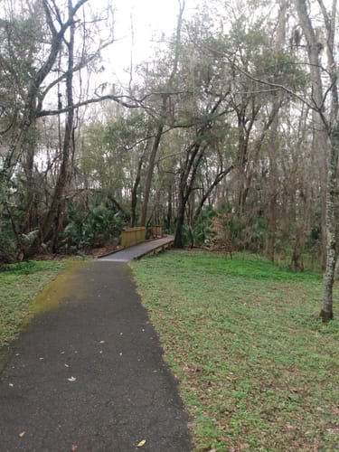 Best Hikes and Trails in Lake Alice Conservation Area | AllTrails