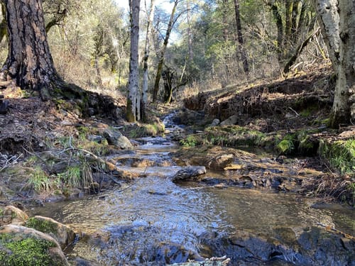 Best Hikes and Trails in Bear River Campground | AllTrails