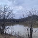 Bee Tree Lake Loop, Missouri - 546 Reviews, Map | AllTrails