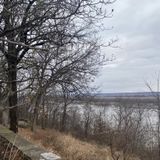 Bee Tree Lake Loop, Missouri - 546 Reviews, Map | AllTrails