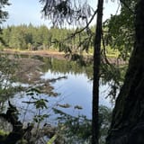 Yellow Point Bog Ecological Reserve and Yellow Point Park Loop, British ...