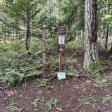 Yellow Point Bog Ecological Reserve and Yellow Point Park Loop, British ...