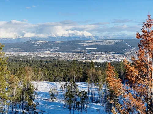 Best Wild Flowers Trails in Cranbrook Community Forest Recreation Site ...