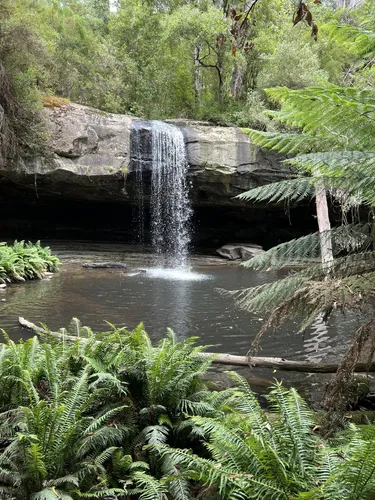 2023 Best 10 Waterfall Trails in Lorne | AllTrails