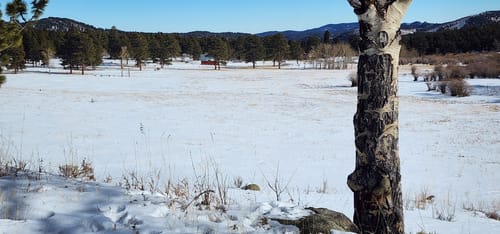 Best Hikes and Trails in Caribou Ranch Open Space | AllTrails