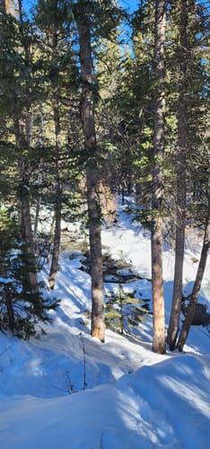 Best Hikes and Trails in Caribou Ranch Open Space | AllTrails