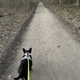 San Gabriel River Trail and Goodwater Loop, Texas - 843 Reviews, Map ...