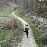 San Gabriel River Trail and Goodwater Loop, Texas - 830 Reviews, Map ...