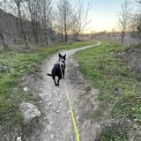 San Gabriel River Trail and Goodwater Loop, Texas - 843 Reviews, Map ...