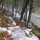 Hemlock Trail, Pennsylvania - 311 Reviews, Map | AllTrails