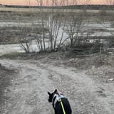 San Gabriel River Trail and Goodwater Loop, Texas - 830 Reviews, Map ...