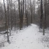 Perry State Forest Loop Trail, Ohio - 75 Reviews, Map | AllTrails