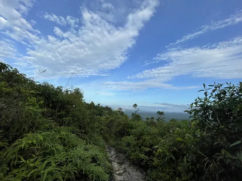 10 Best Trails and Hikes in Perak | AllTrails