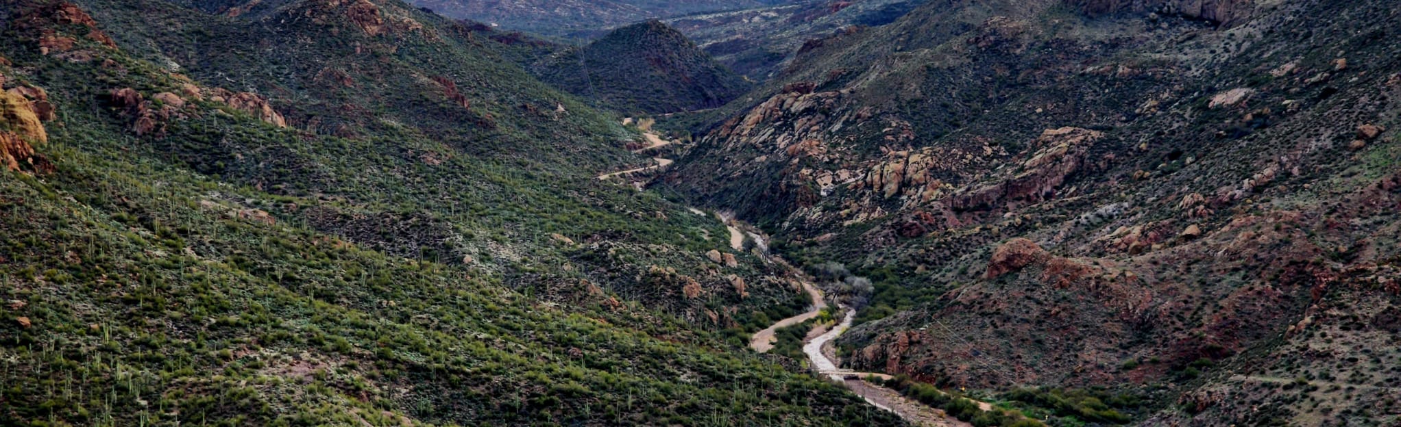Fish Creek Trail, Arizona - 81 Reviews, Map | AllTrails