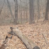 Stemler Cave Woods Interpretive Long Trail, Illinois - 397 Reviews, Map ...